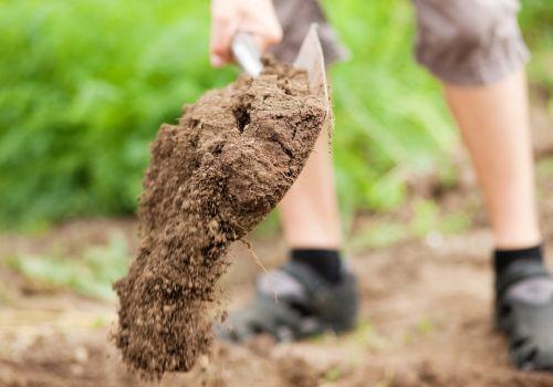 How to Lay Artificial Turf: A Step-by-Step Guide | A Daisy's Blog