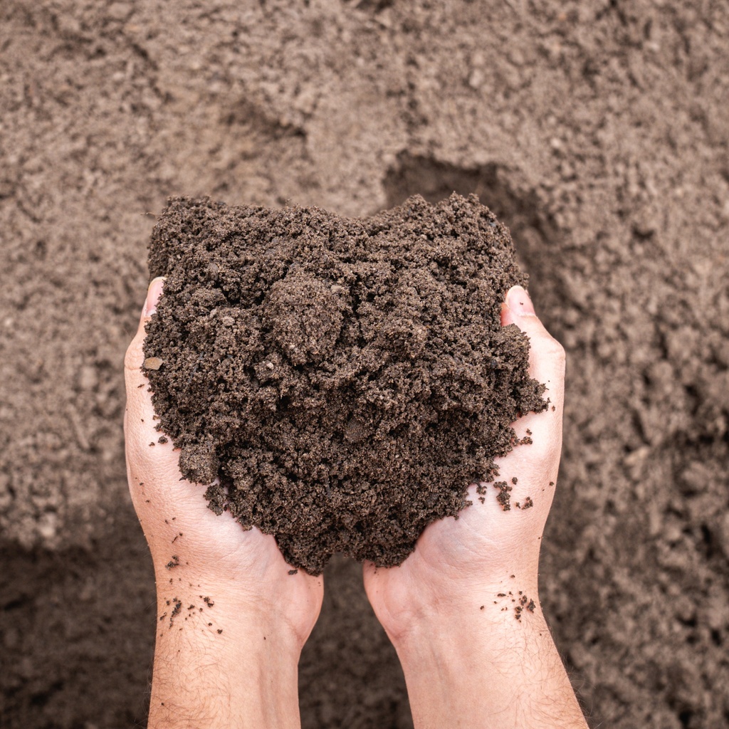 Garden Soil vs Potting Mix | Daisy's Garden Supplies