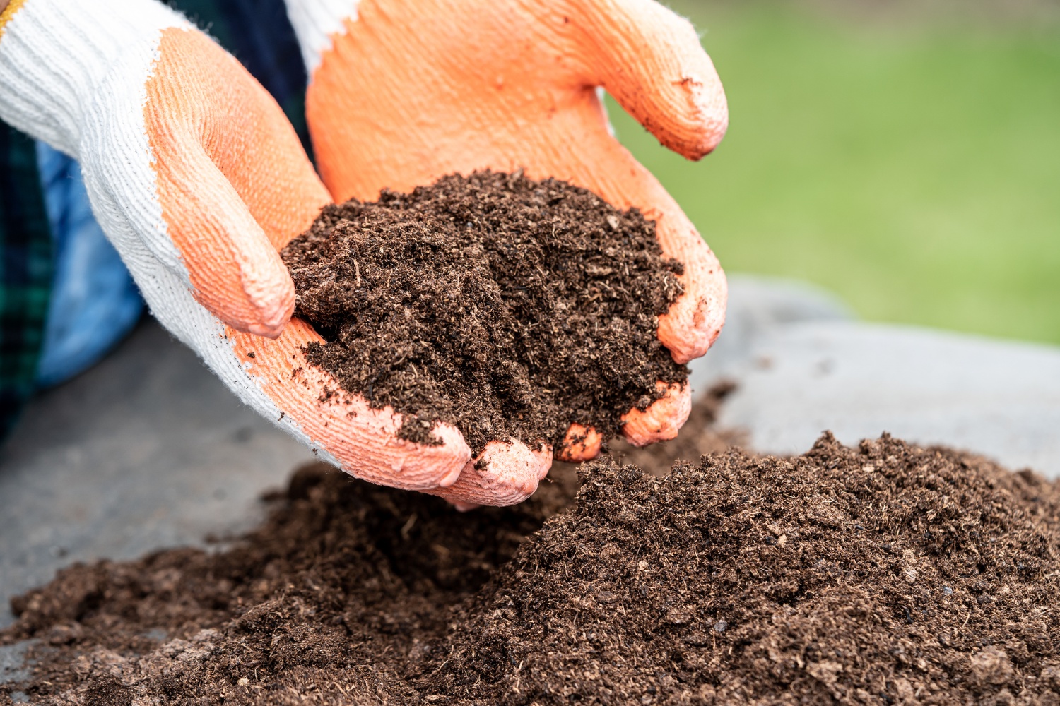 What Is Mulching and How to Do It?