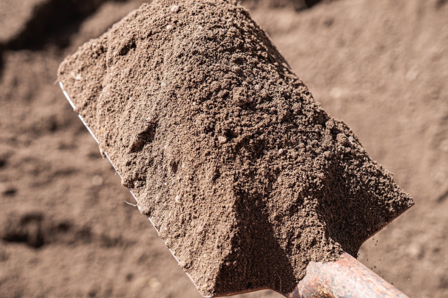 The Comprehensive Top Soil Guide: Essential for Your Next Gardening ...