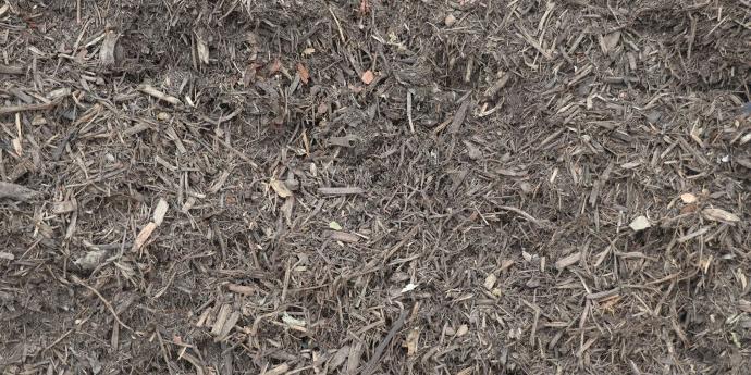Eucalyptus Mulch Pros and Cons