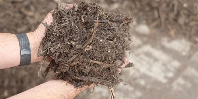 What Is Mulching and How to Do It?